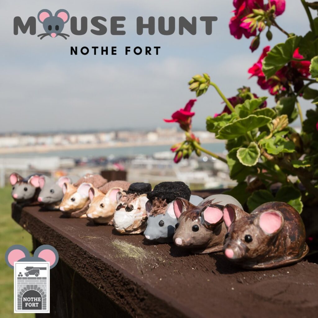 Plan Your Family Visit – Nothe Fort